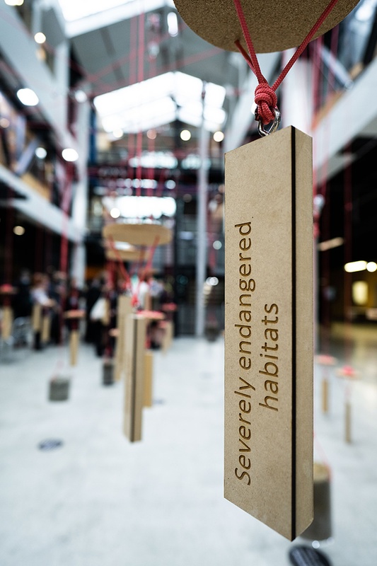 Ko Wai Au? | Who Am I? | Architecture Now