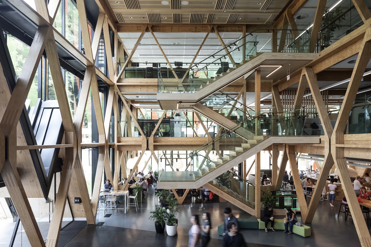 The technology of the trees | Architecture Now