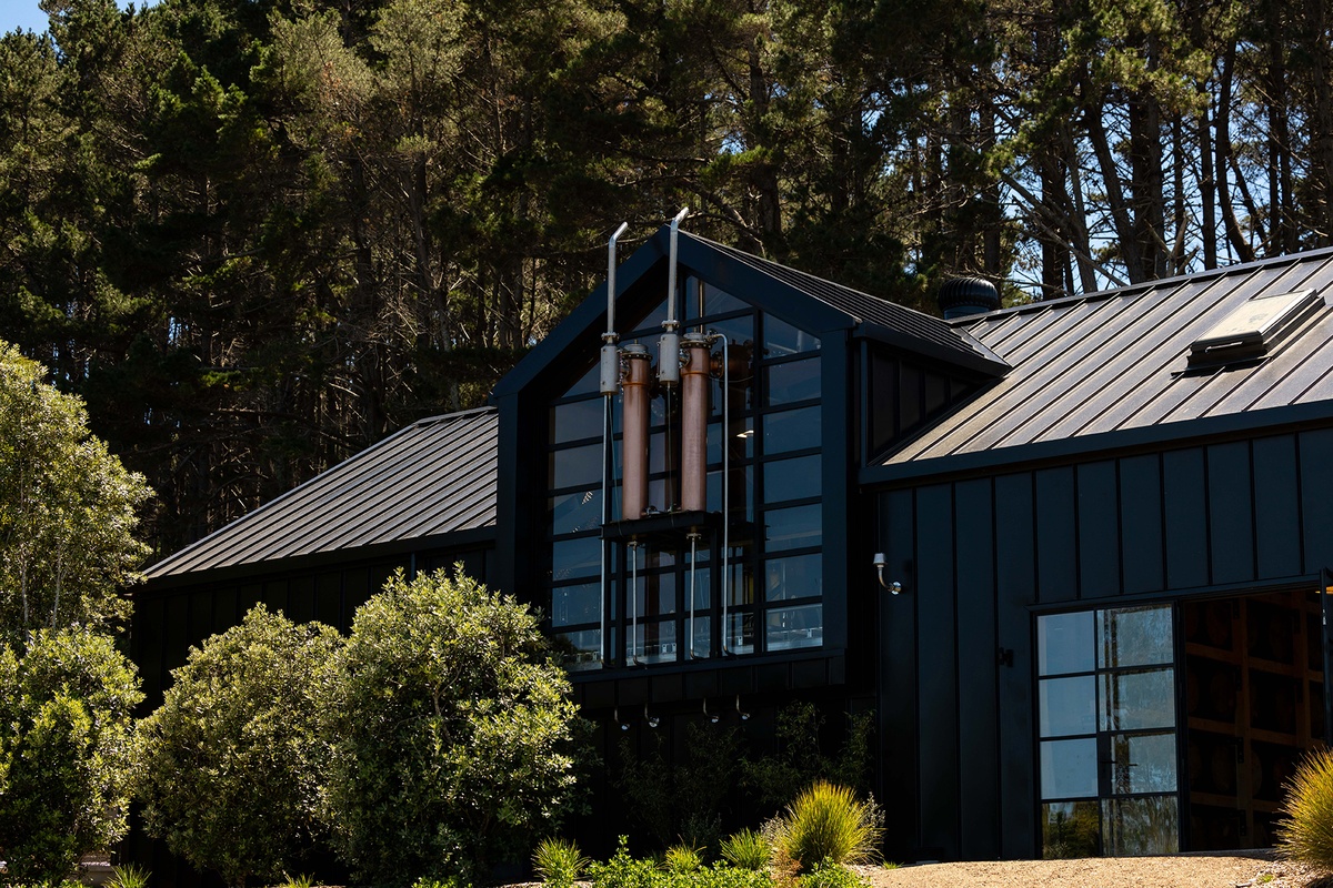 On the Rise: Darrelle McWilliams | Architecture Now