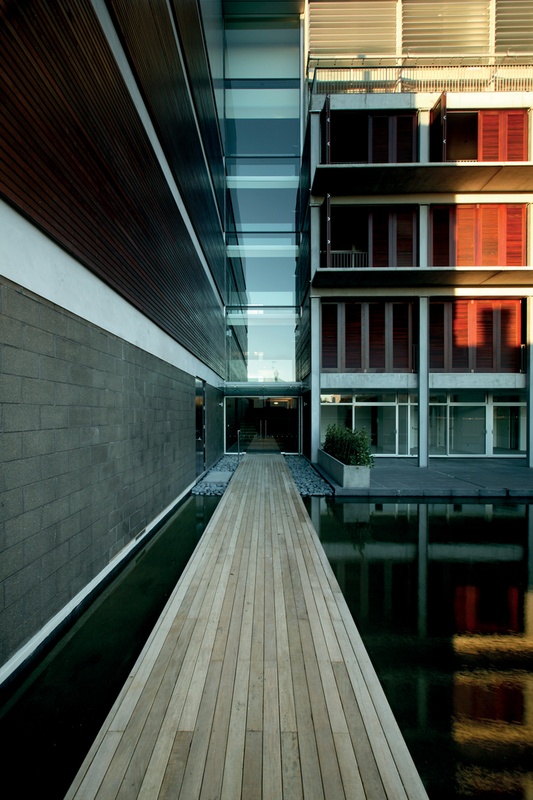 Profile: Architectus | Architecture Now