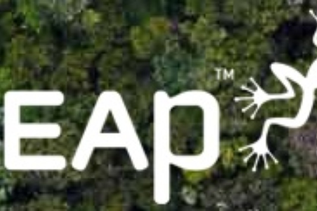 Leap Limited | Architecture Now