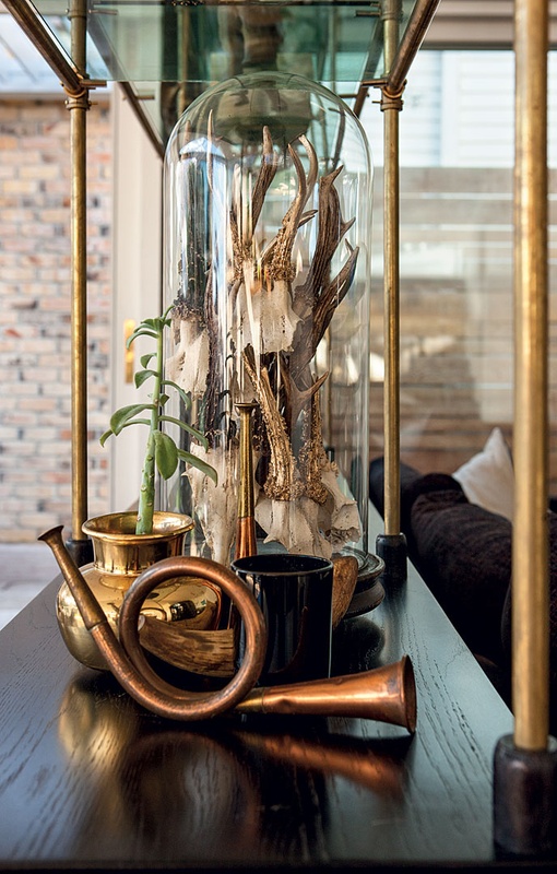 The new curiosity shoppe | Architecture Now