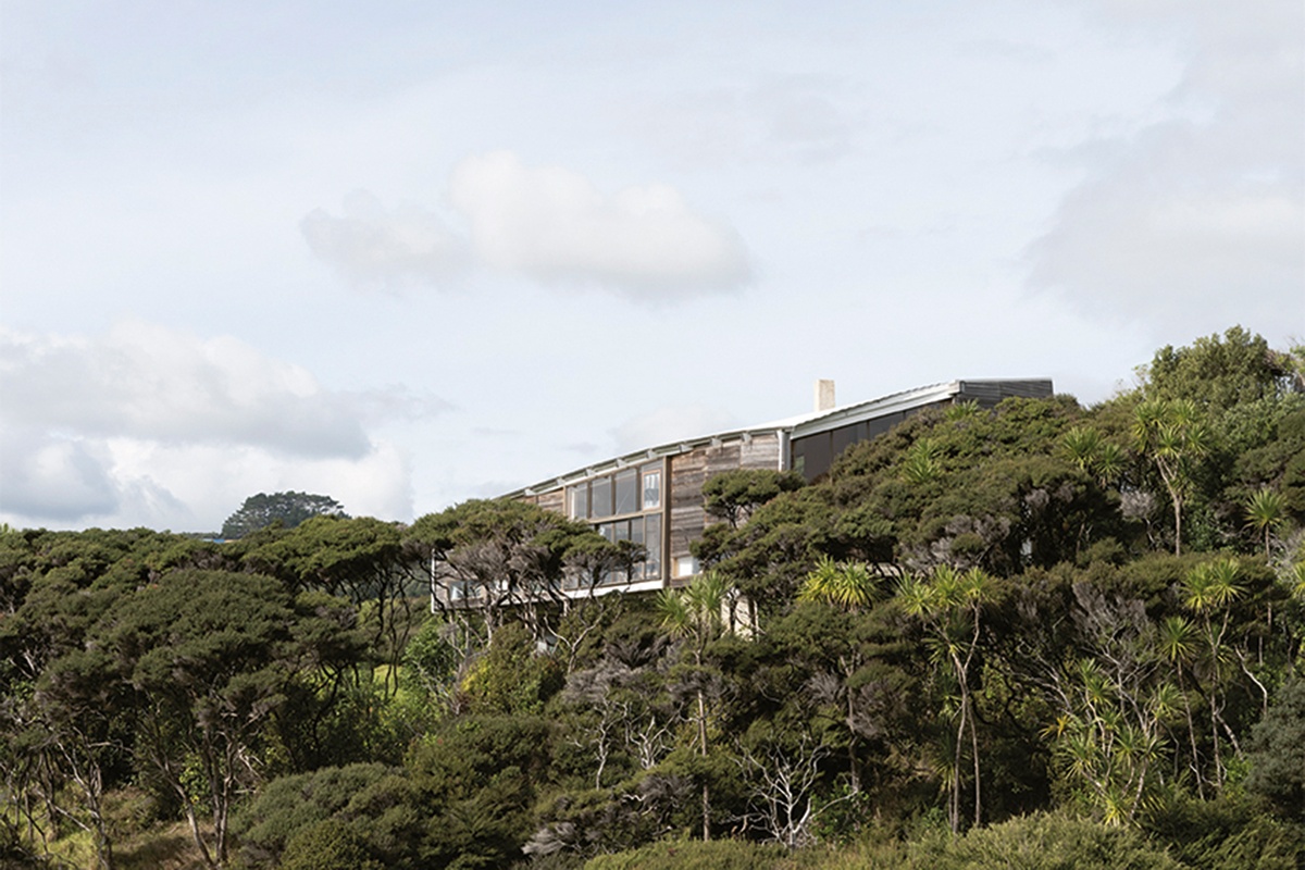 Book review: Rewi | Architecture Now