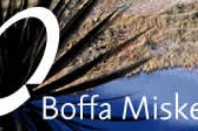 Boffa Miskell | Architecture Now