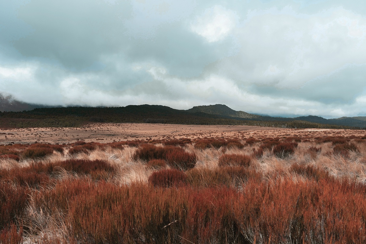 Dulux Colours of New Zealand Heritage Collection | Architecture Now