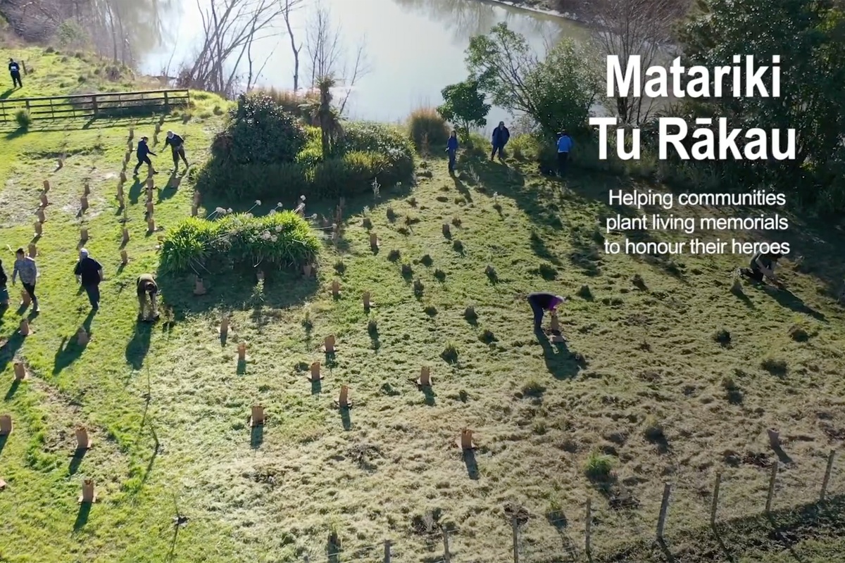 Matariki planting | Architecture Now