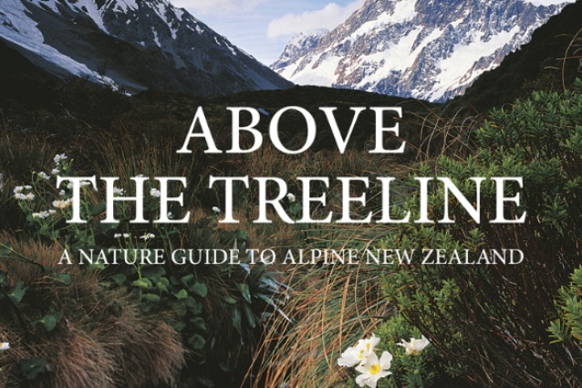 A nature guide to alpine New Zealand | Architecture Now