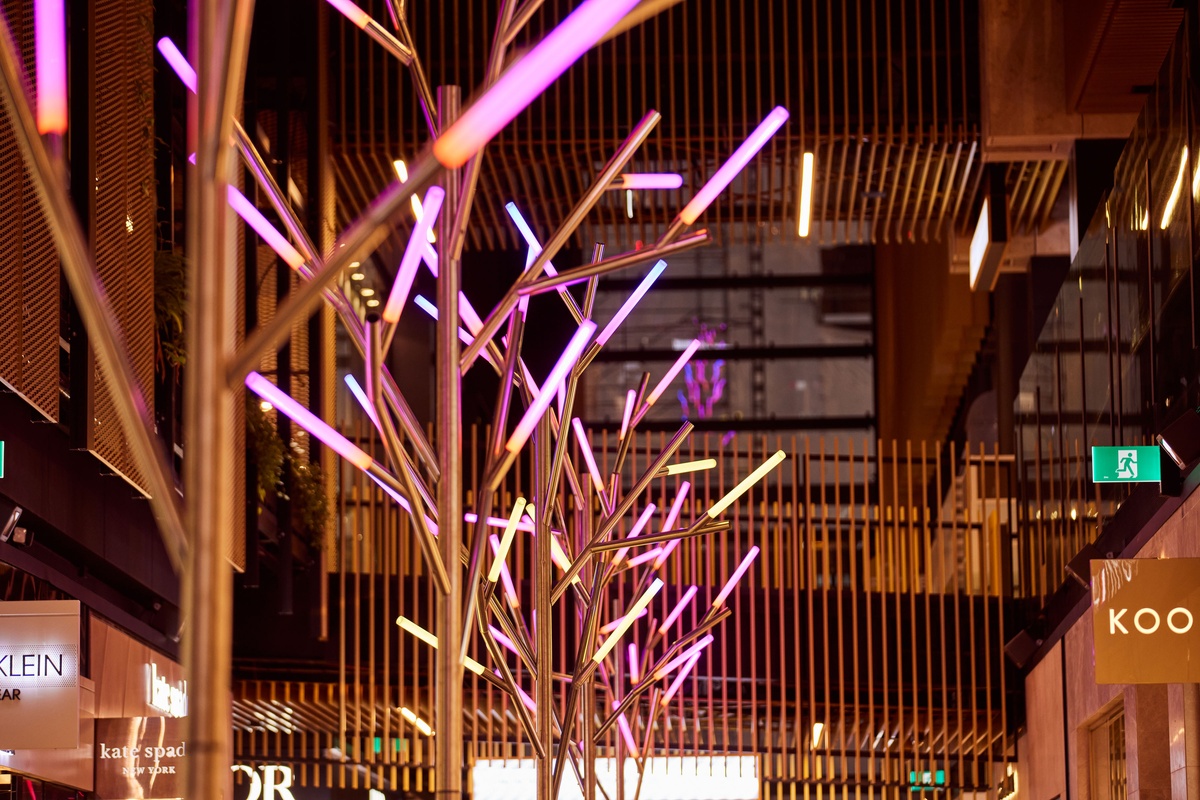 ‘City of Colour’ exhibition lights up Auckland | Architecture Now