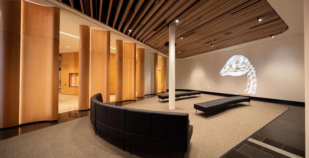 First look: Auckland War Memorial Museum South Atrium | Architecture Now