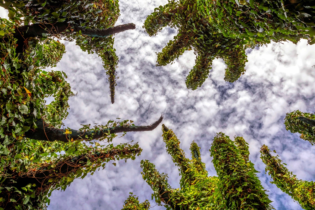 The Time Traveller’s Guide to Hamilton Gardens | Architecture Now