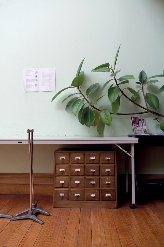 Carnegie Libraries: Cultivate it as you will | Architecture Now