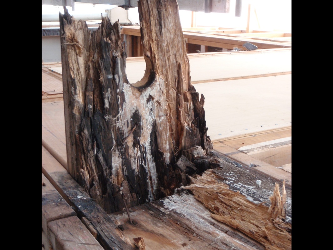 Review: Rottenomics: The Story of New Zealand’s Leaky Buildings ...