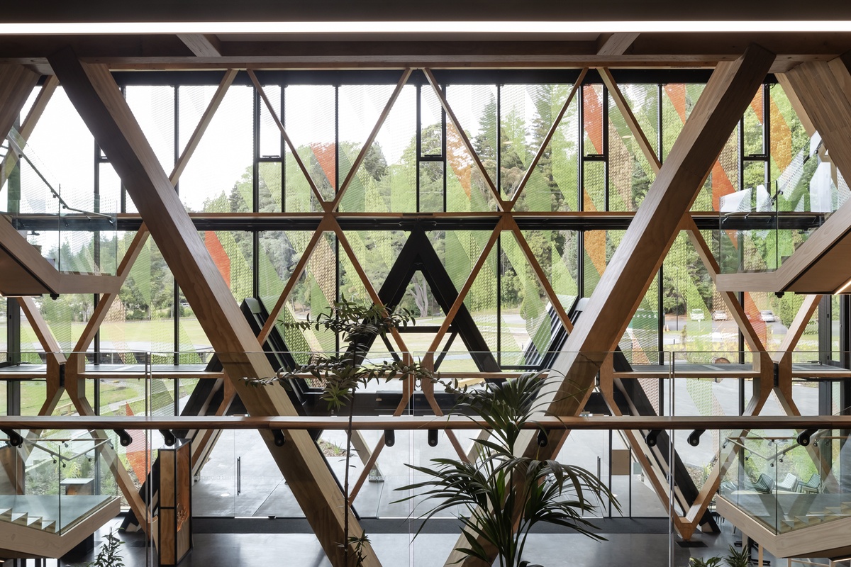 The technology of the trees | Architecture Now