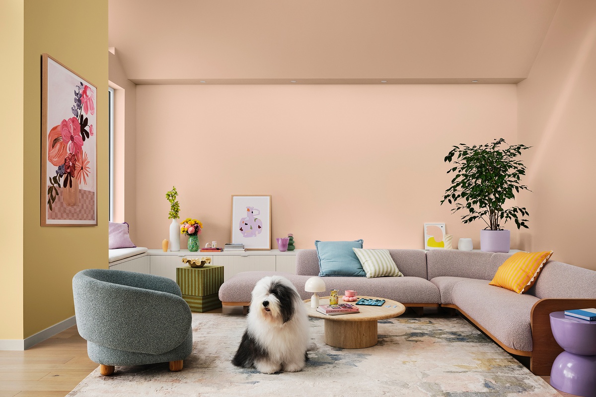 Alex McLeod: Co-founder of at.space joins judging panel for the Dulux ...