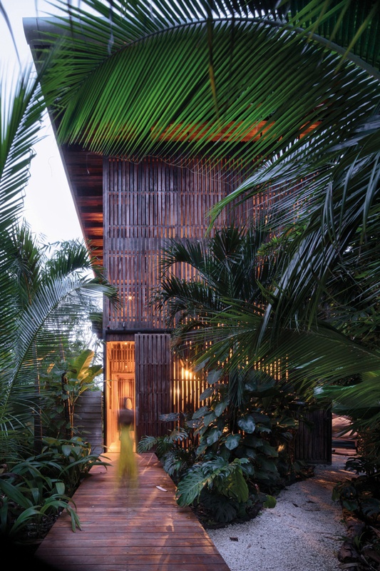 Surf and canopy | Urbis Magazine