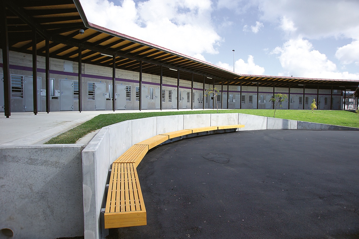 Book review: Rewi | Architecture Now