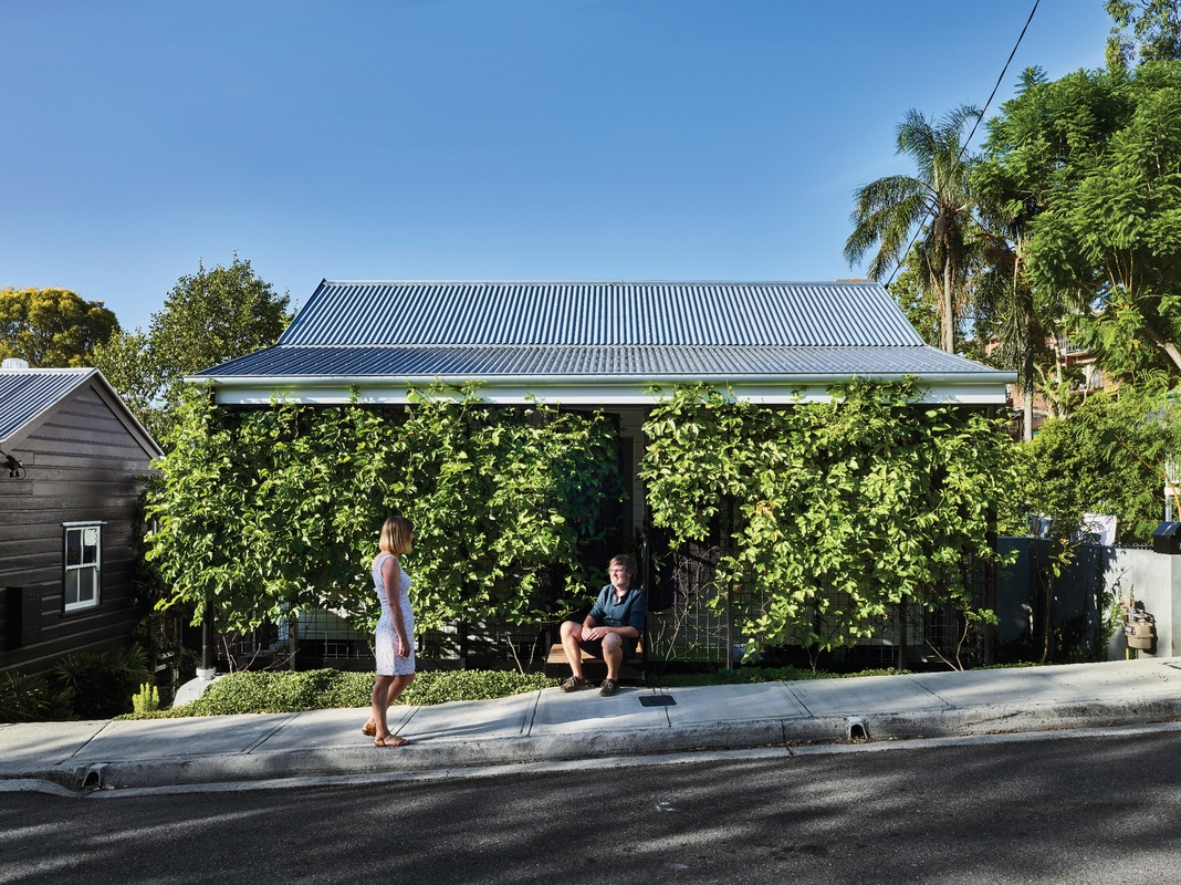 Full bloom: Terrarium House | Architecture Now