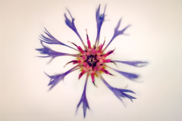 Camera Ephemera | Urbis Magazine