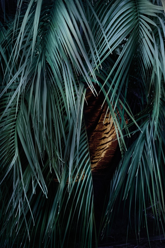 Spring fibre | Urbis Magazine