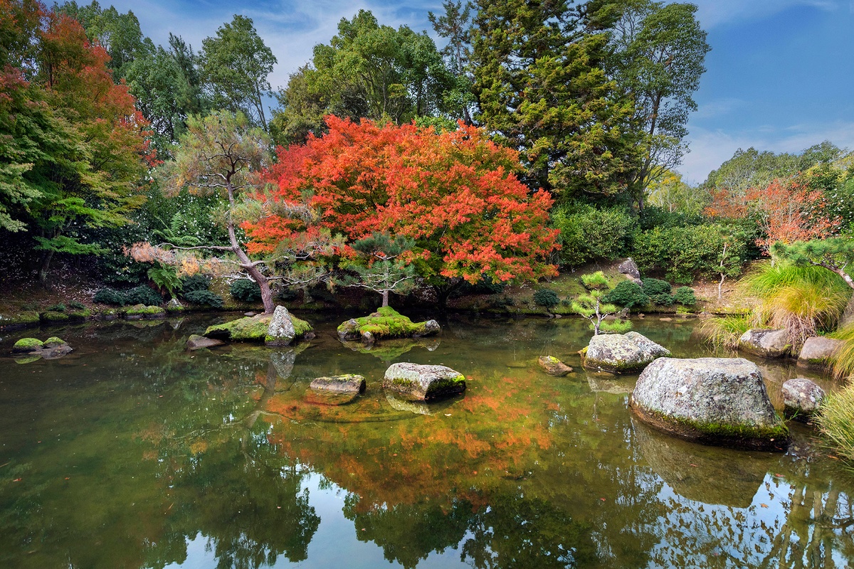 The Time Traveller’s Guide to Hamilton Gardens | Architecture Now