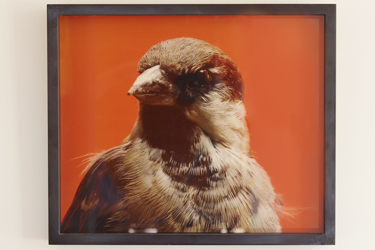 Inside Story: Rachel Carley | Urbis Magazine