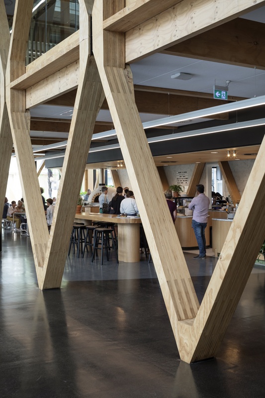 The technology of the trees | Architecture Now