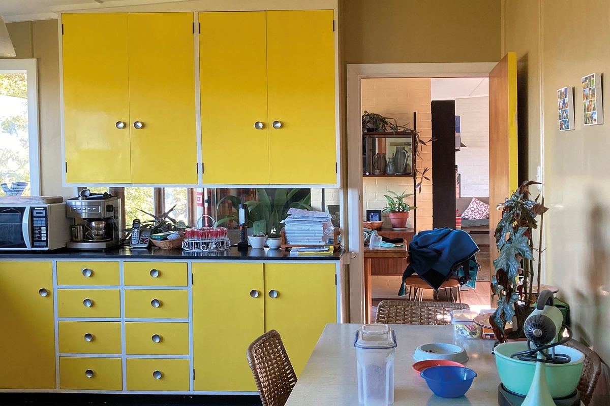 Forever an educator | Architecture Now