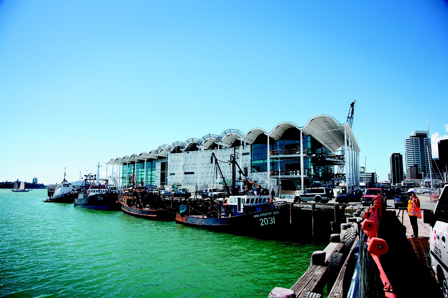 Transforming Auckland's waterfront | Architecture Now