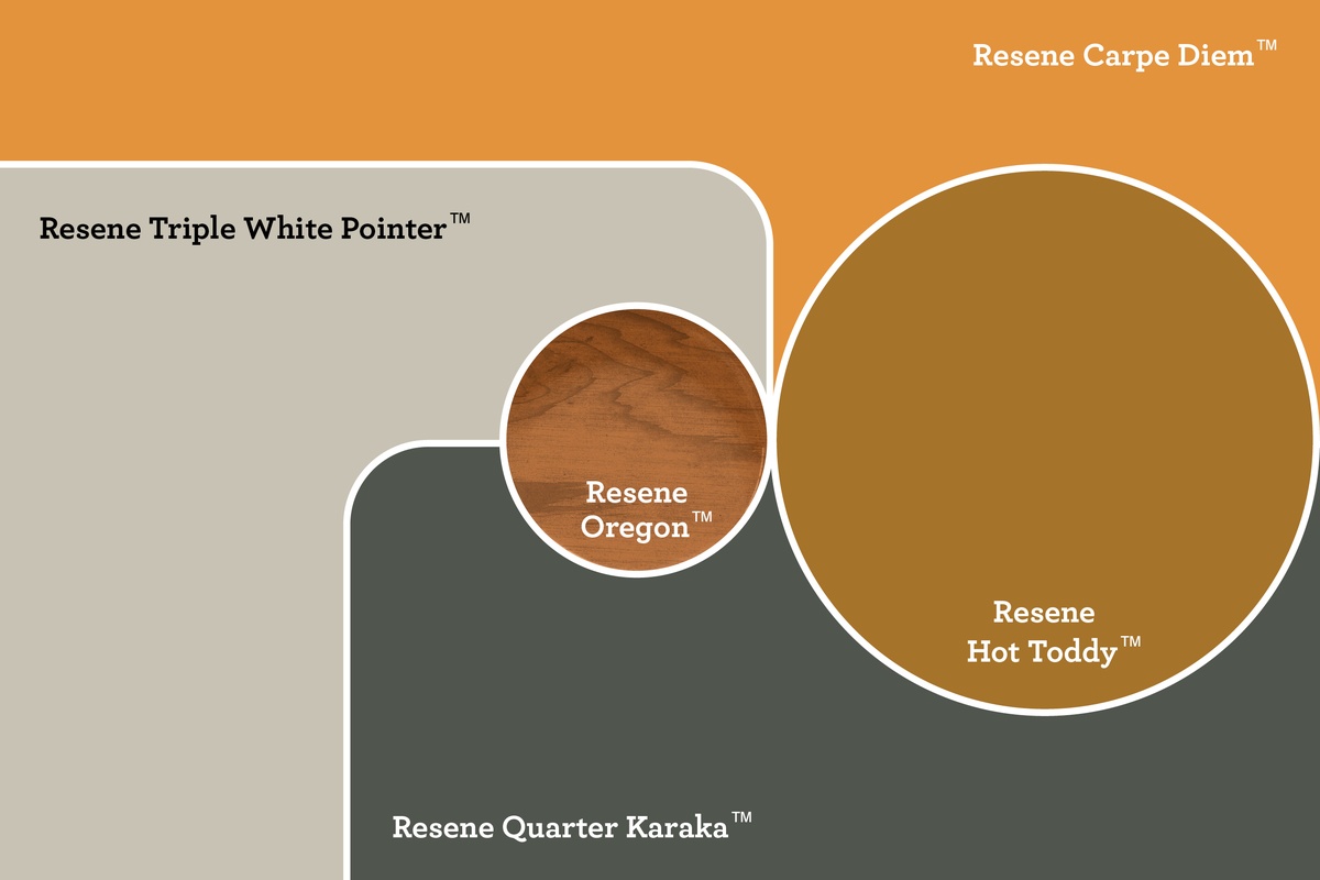 On the Rise: Renée Williamson | Architecture Now