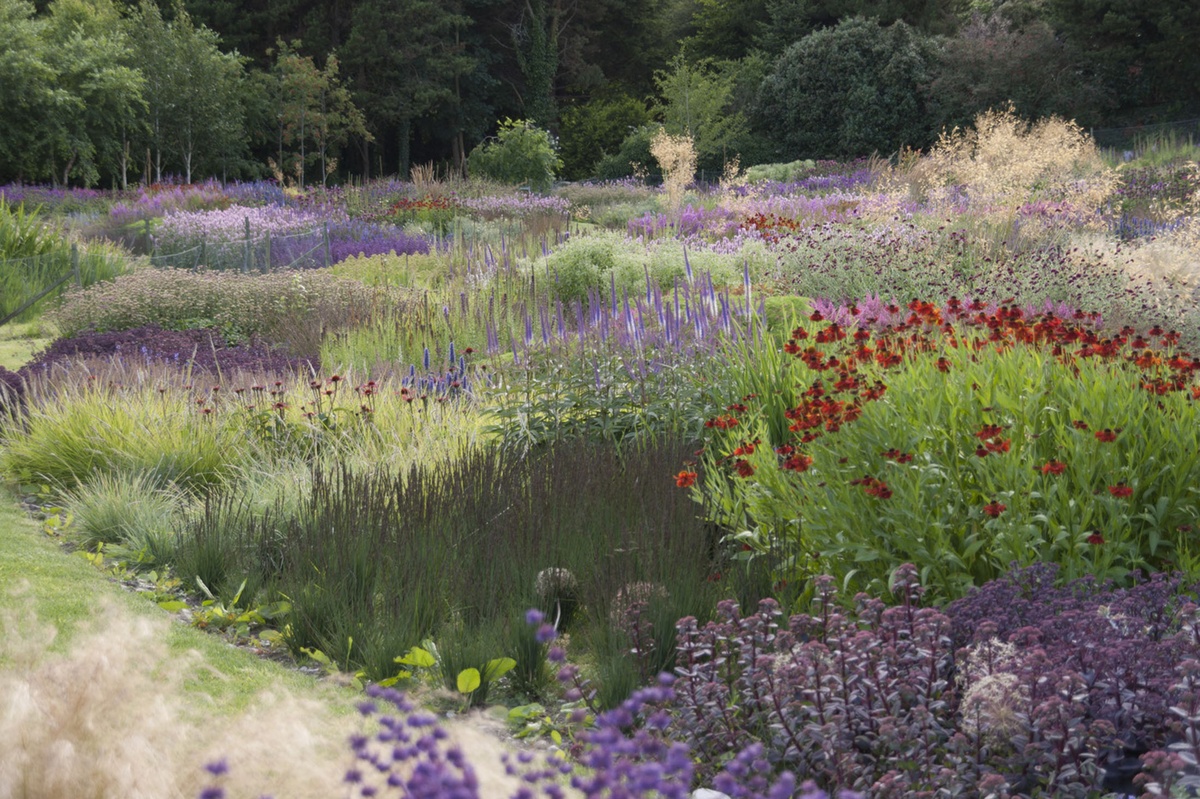 Piet Oudolf: Landscapes In Landscapes | Architecture Now