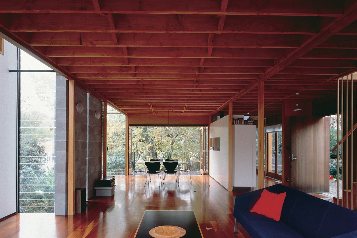 Profile: Architectus | Architecture Now