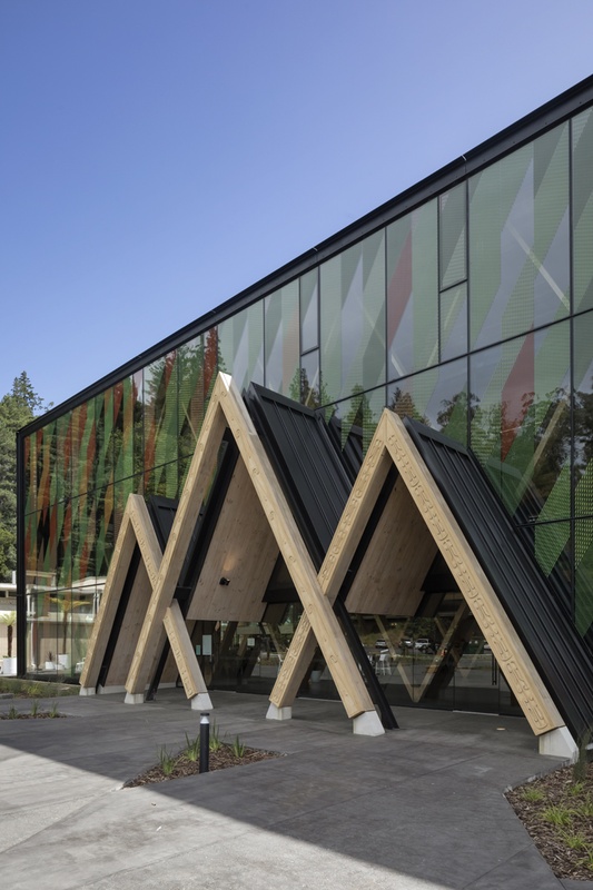 The technology of the trees | Architecture Now