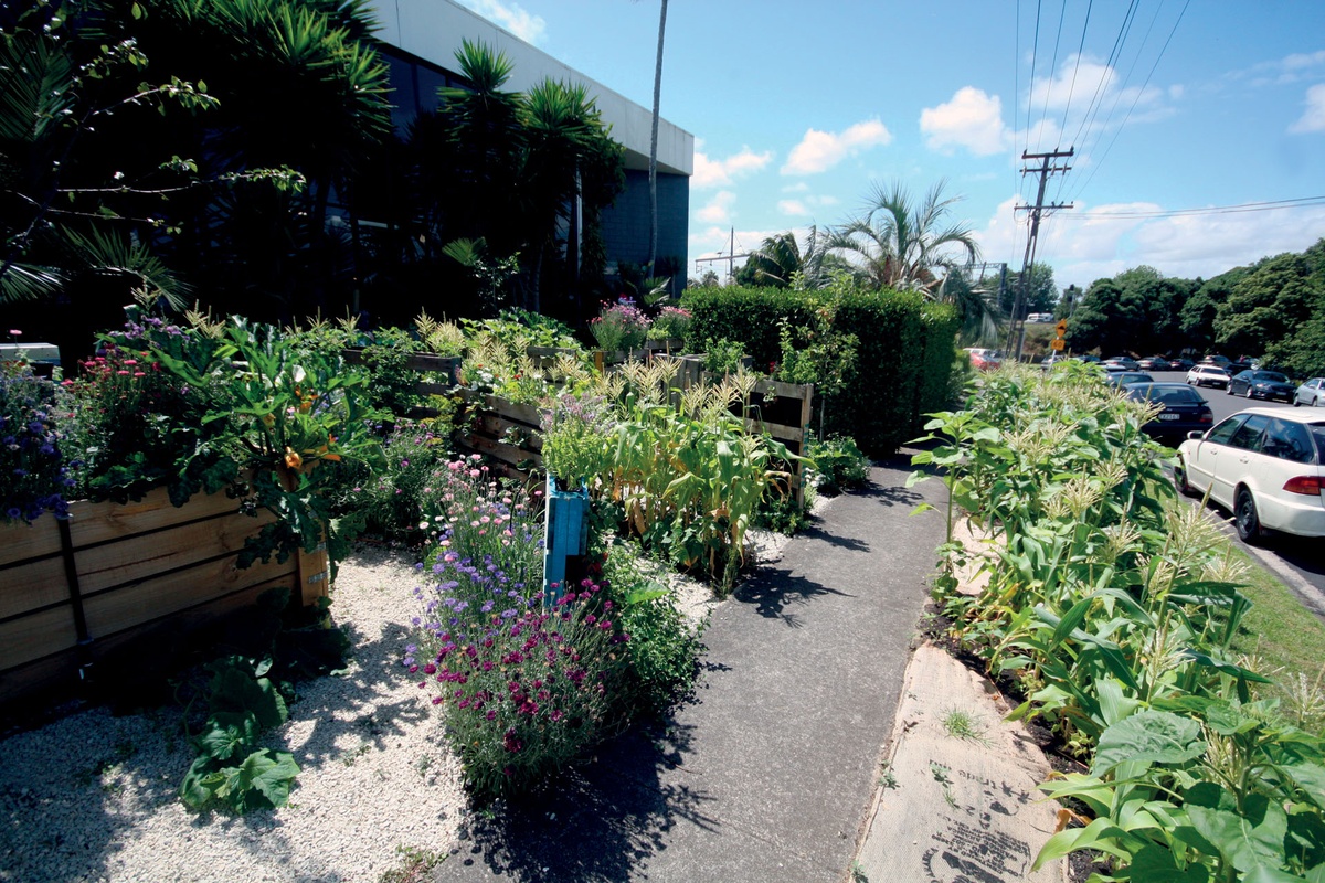 Urban connection | Architecture Now