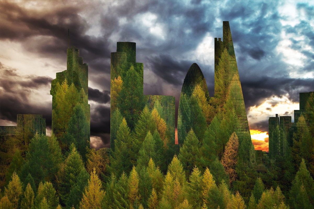 Letting nature cool | Architecture Now