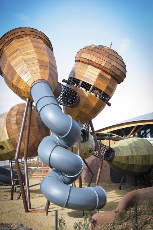 Arboreal influence | Architecture Now