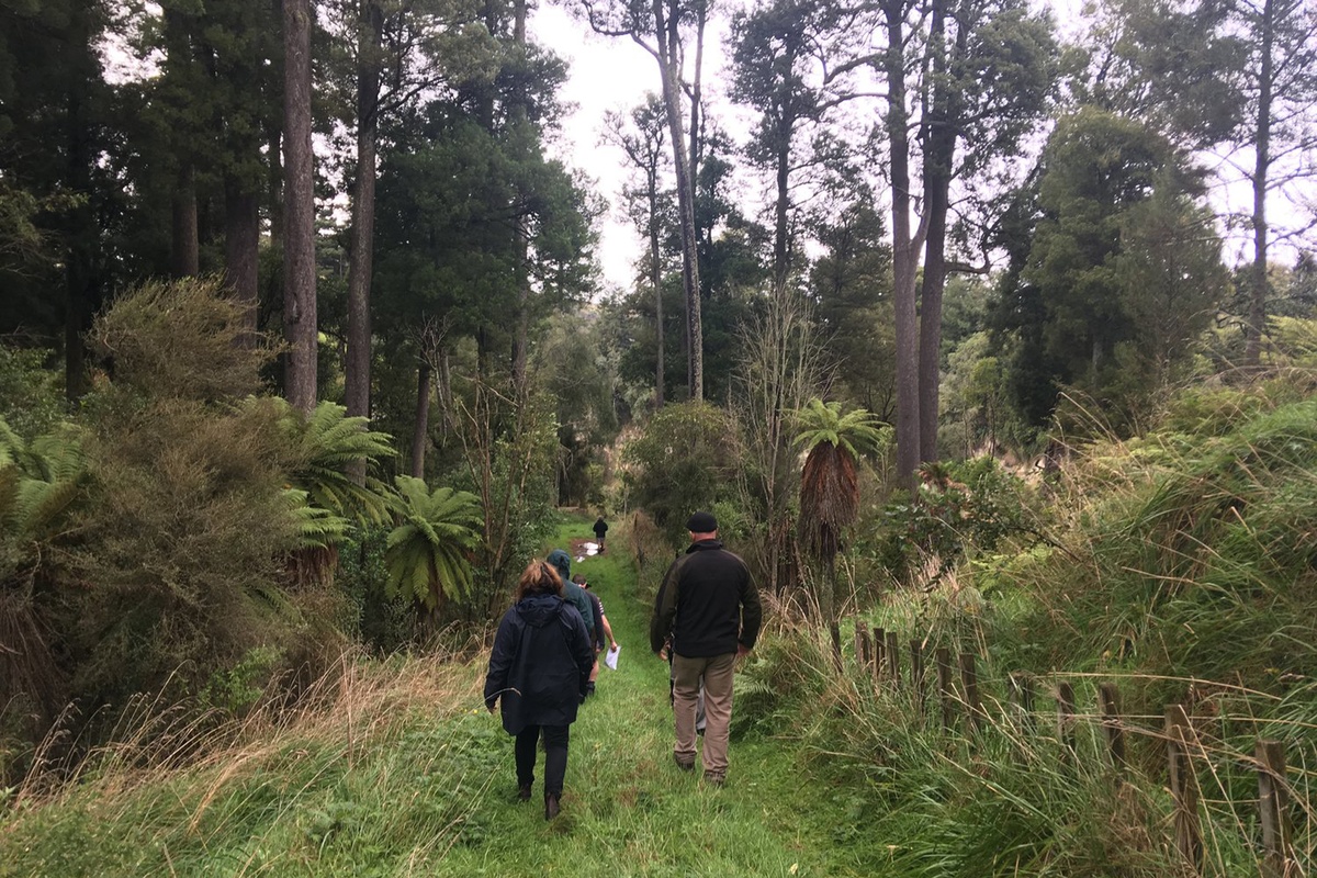 Taihape works to shake off its 'gumboot' image | Architecture Now