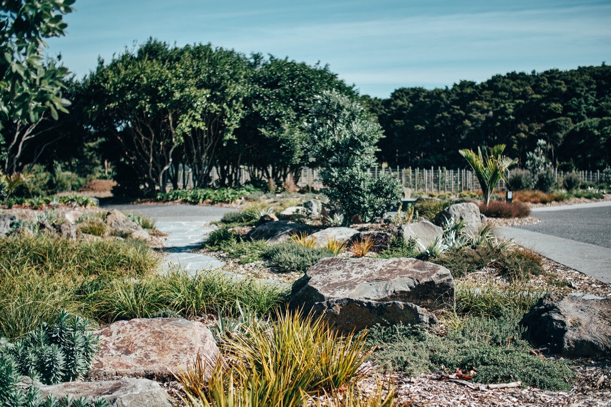 The Pacific Path brings Botanic Gardens Masterplan to life ...