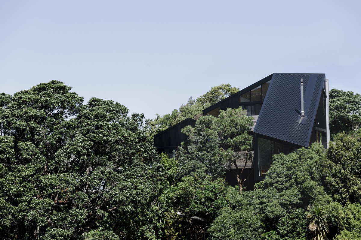 Q&A: Patchwork Architecture | Architecture Now