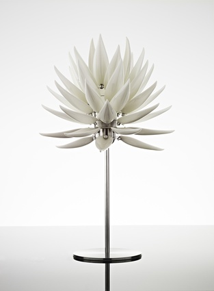 Beauty & elegance: Jeremy Cole | Urbis Magazine