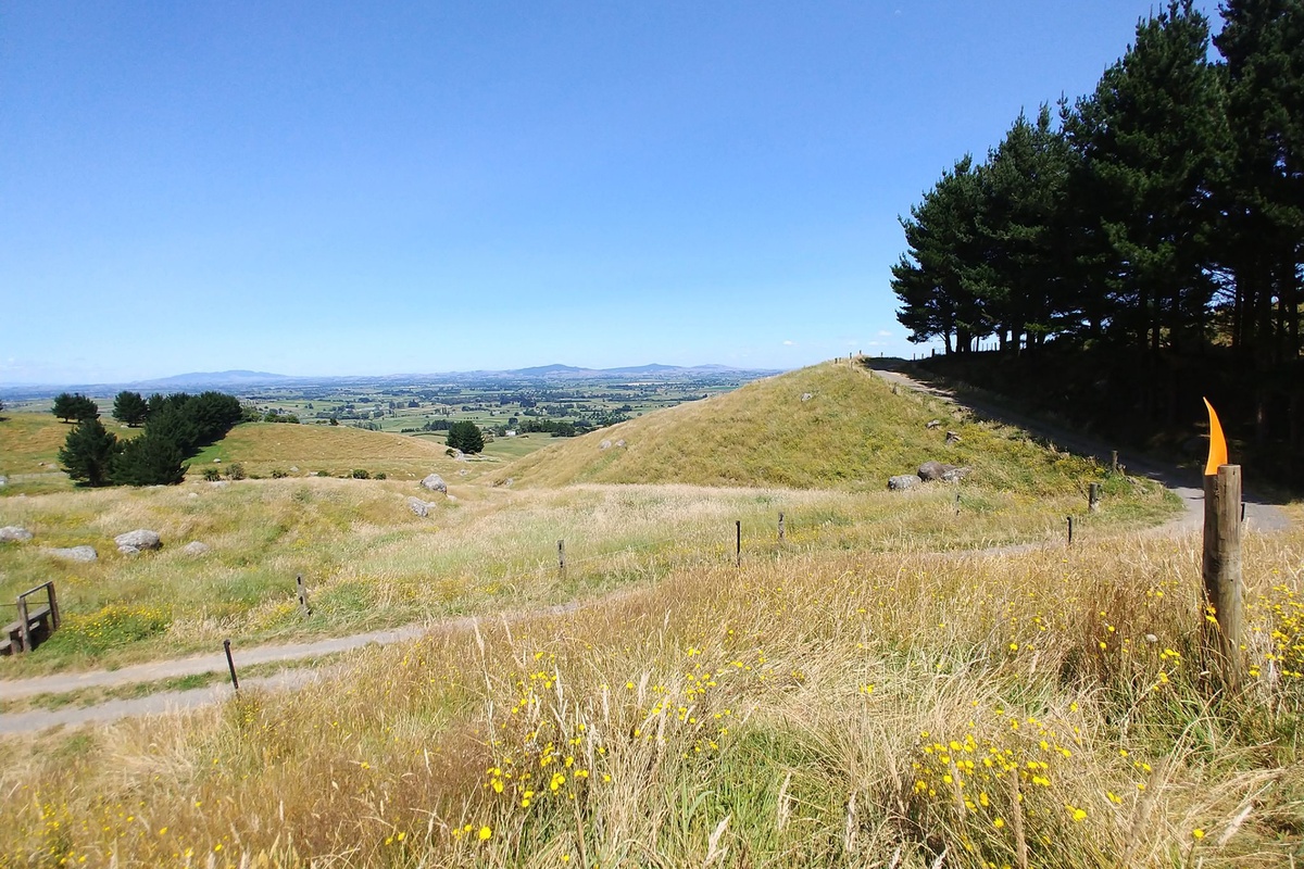 Meet the 2022 Interior Awards jurors: Nicholas Dalton | Architecture Now