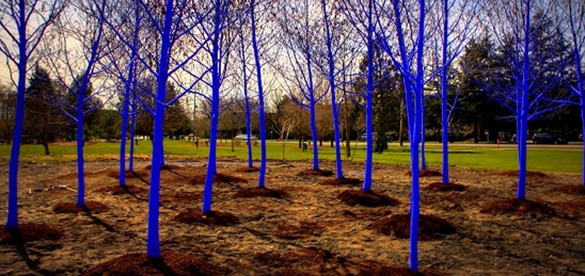 The Blue Trees | Architecture Now