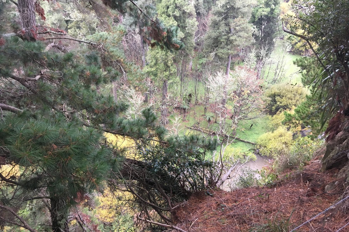 Taihape works to shake off its 'gumboot' image | Architecture Now