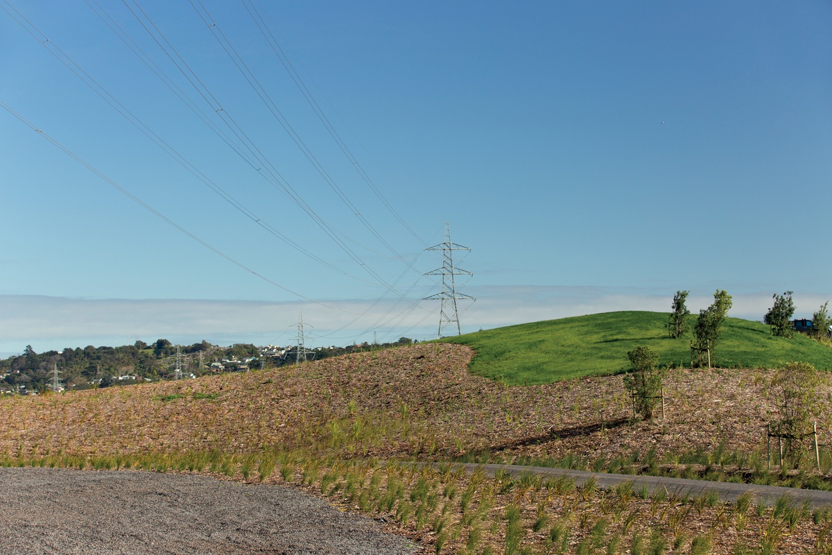 Onehunga Foreshore | Architecture Now