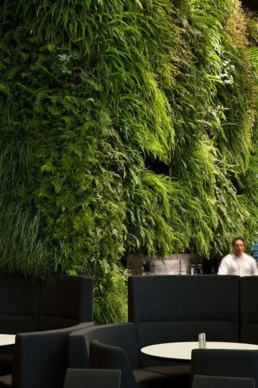 Vertical vegetation | Architecture Now
