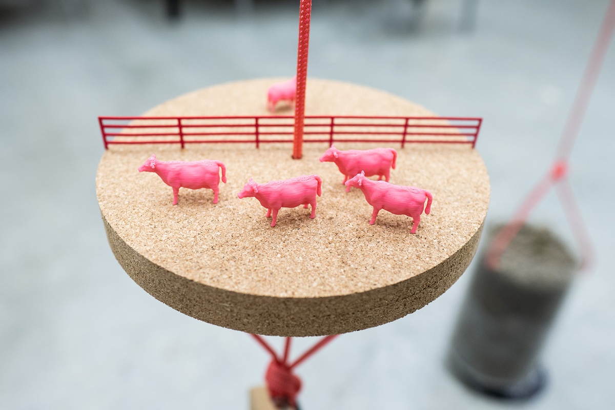 Ko Wai Au? | Who Am I? | Architecture Now