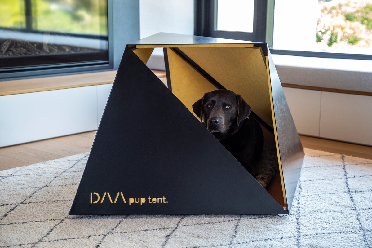 Top architects design dog houses for good | Architecture Now