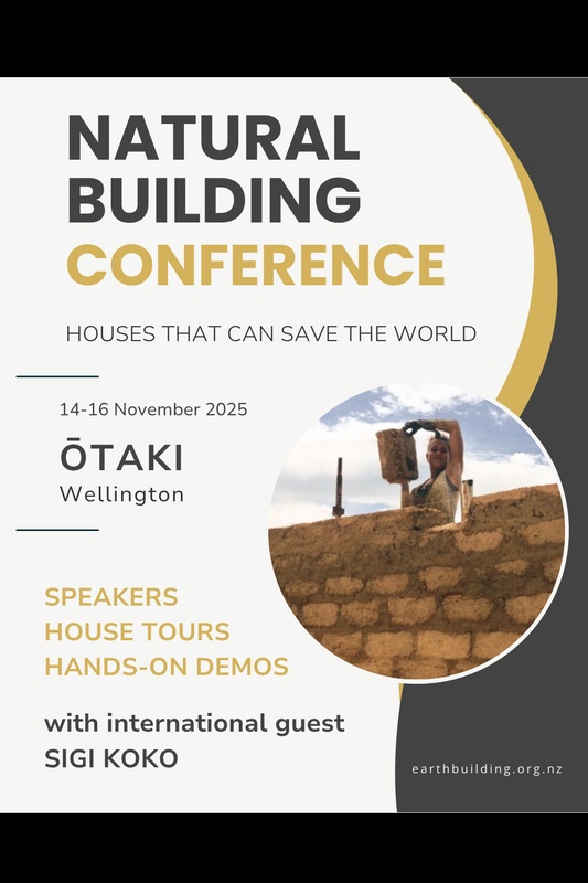 Making the case for earth building in Aotearoa | Architecture Now