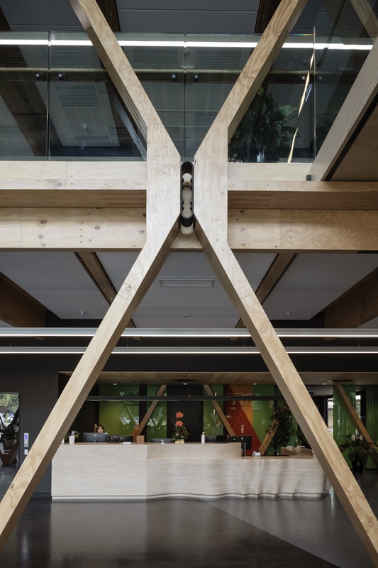 The technology of the trees | Architecture Now