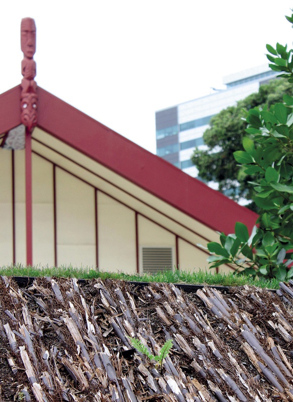 Pipitea Marae | Architecture Now