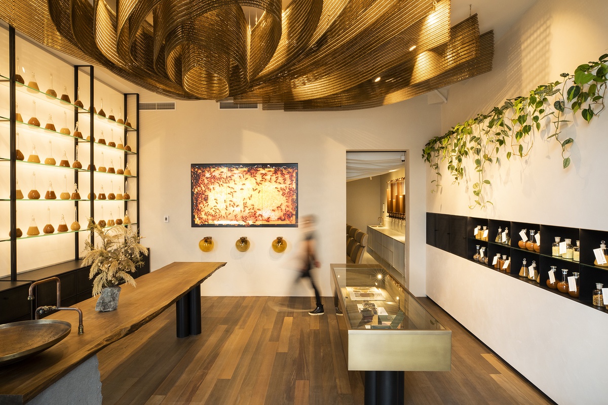 Falling for the bees | Architecture Now